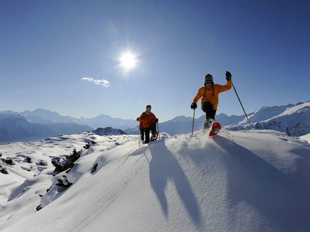 Fotos Riederalp - Bilder aus dem Ort und Skigebiet